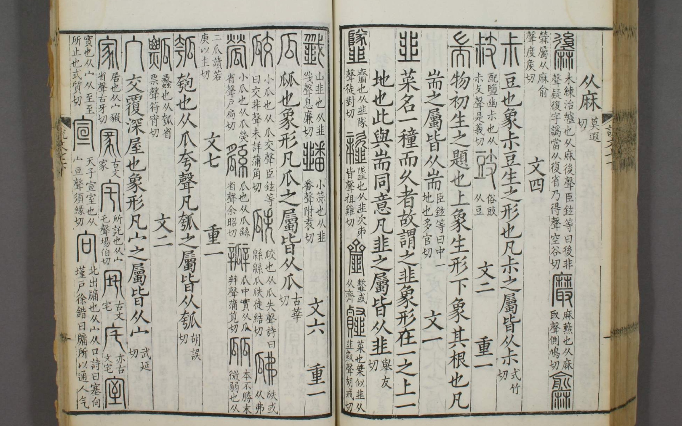 解读《说文解字》部首 267——瓜
