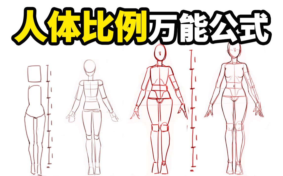【人体比例】一套万能公式,零基础也能掌握人体比例!【绘画教程|ps ...