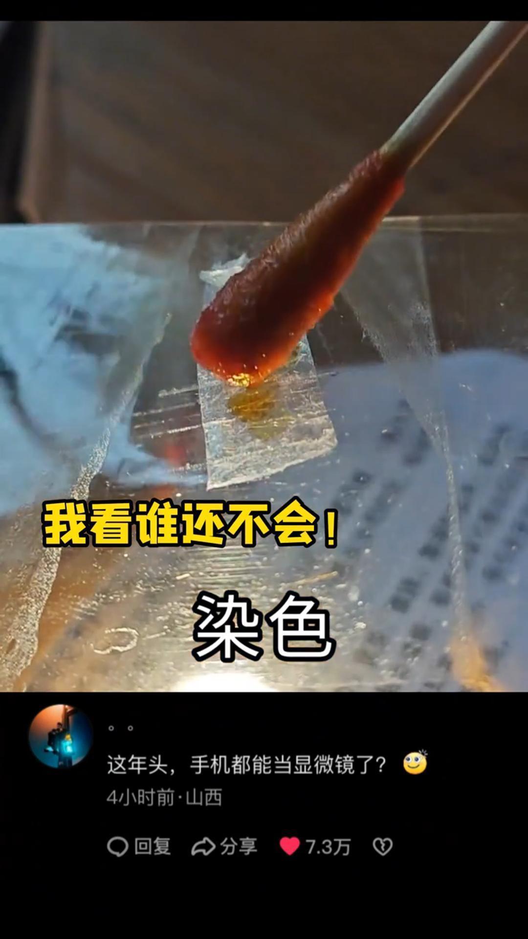 网友用手机观察洋葱内表皮细胞,看完这些操作,学校教的全想起来了