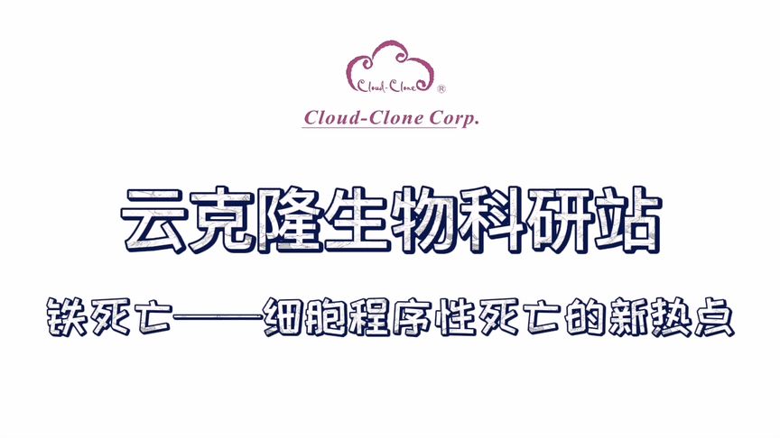 云克隆生物科研站| 铁死亡——细胞程序性死亡的新热点