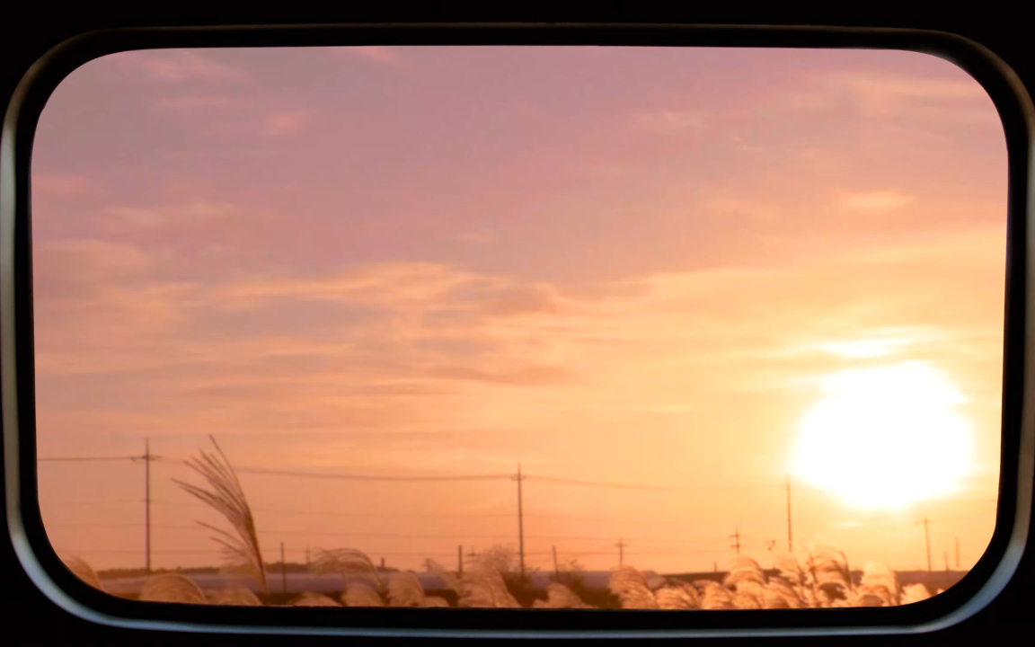 生命的意义在于付出,在于给予,而不是在于接受,也不是在于争取。——...