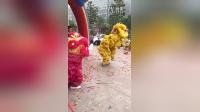 青岛酒店管理学舞狮协会外出婚庆结婚舞狮