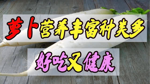 冬吃萝卜夏吃姜,萝卜种类多营养丰富,补充维生素好吃又健康
