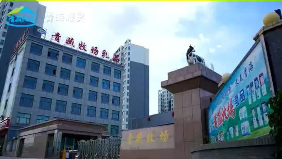 更好喝的鲜牛奶 批发配送 欢迎新老客户的光临 企业宣传短片