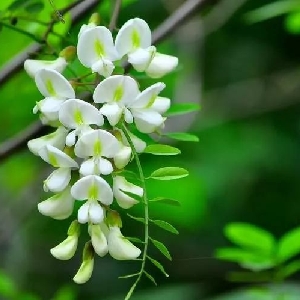 三湘数据 