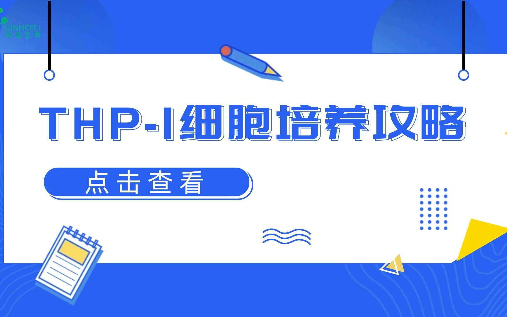 【细胞百科视频】THP-1(人单核细胞白血病细胞)