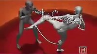 史上最强3D格斗教程Human Weapon,人体武器