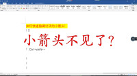 Word瞬间隐藏讨厌的小箭头,只需要一个快捷键,节省工作时间!