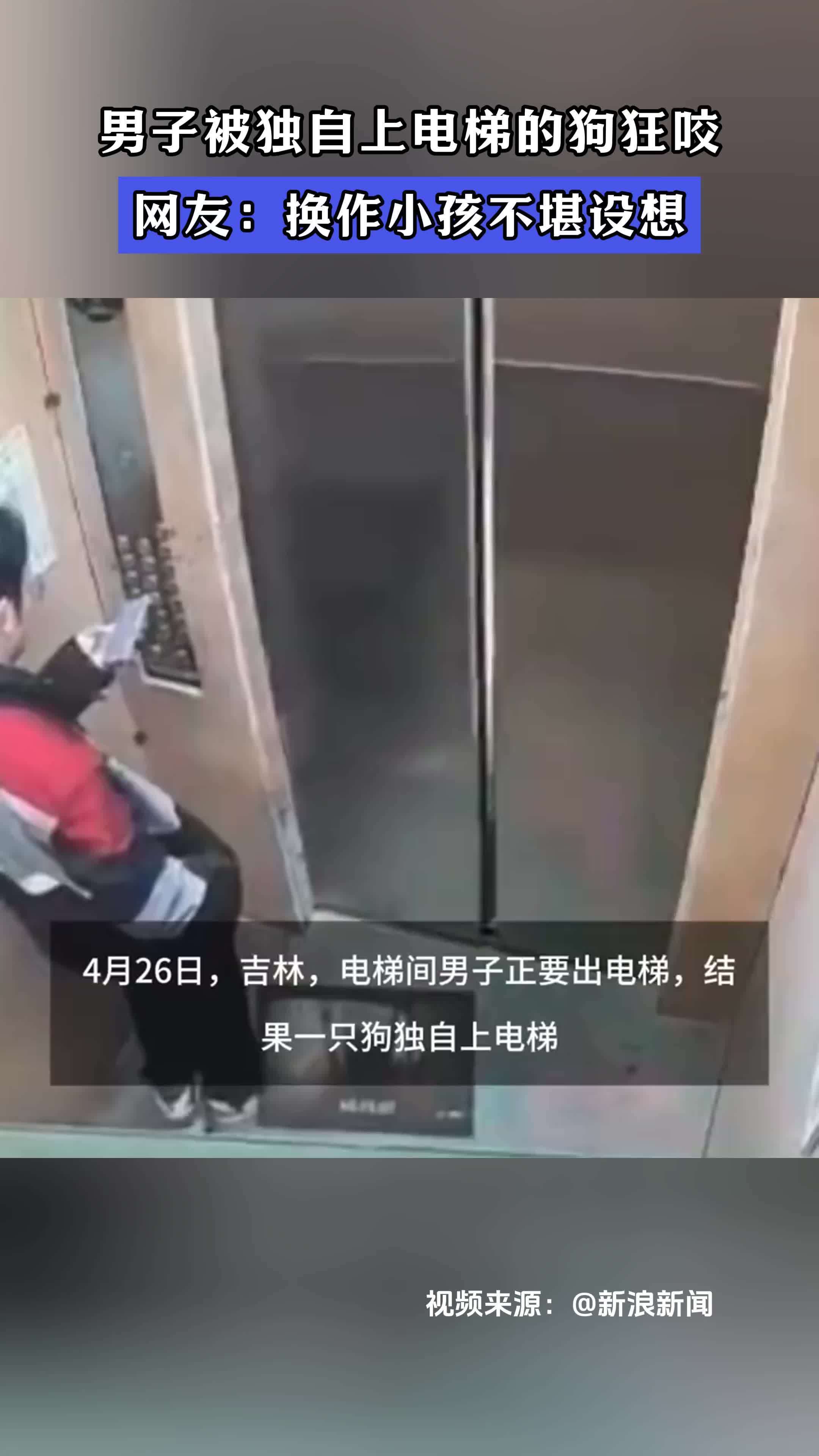 男子被独自上电梯的狗狂咬,网友:换作小孩不堪设想
