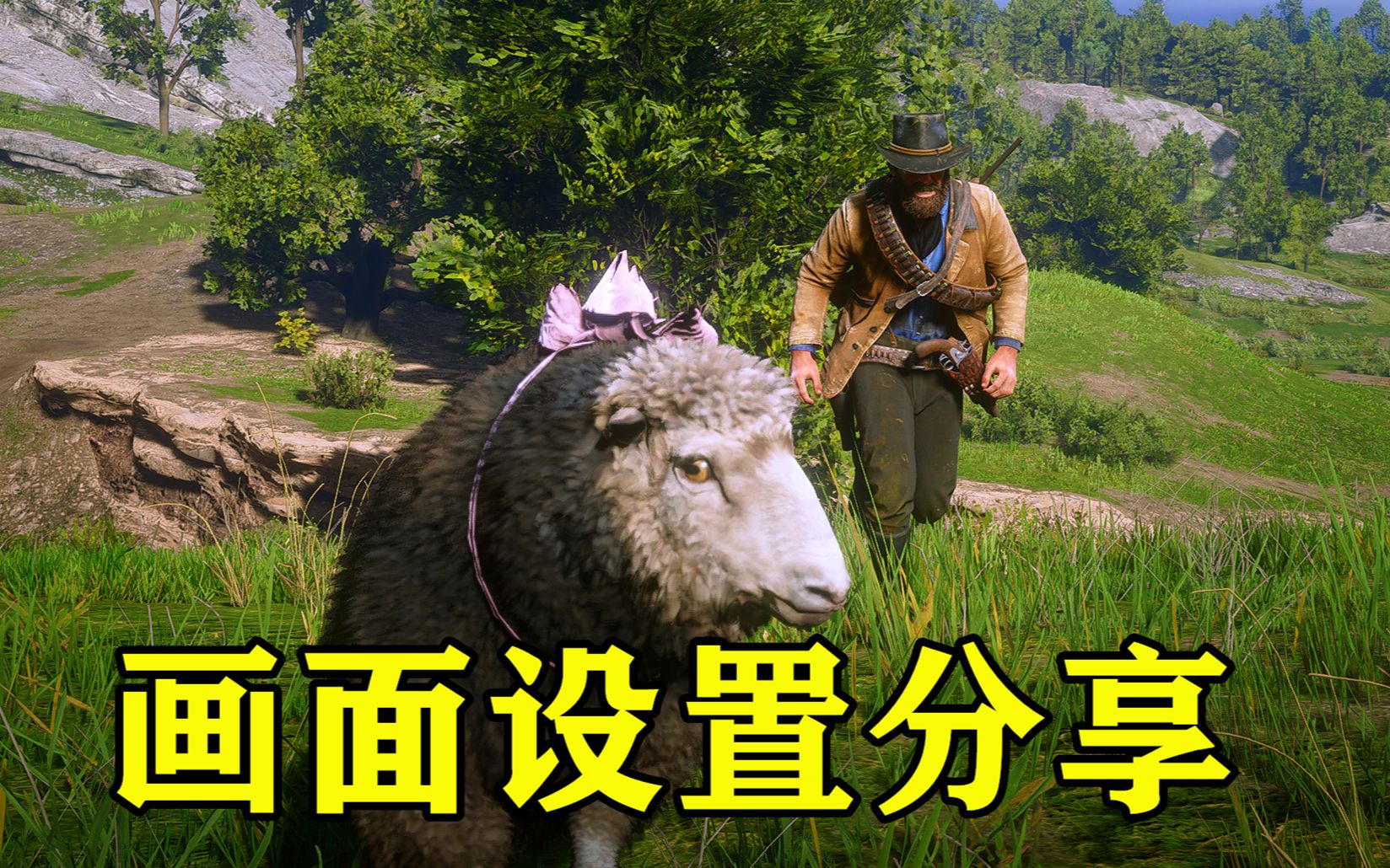 【荒野大镖客2】画面和帧数并存的画面设置分享(个人)