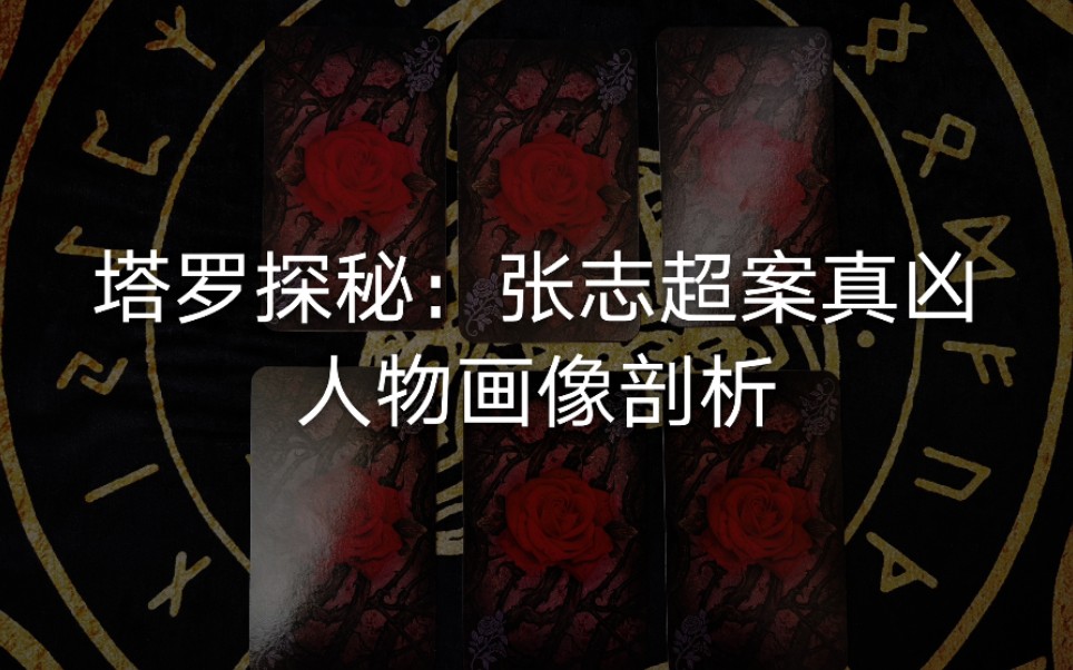 【龙女塔罗】塔罗探秘:张志超案真凶人物画像剖析