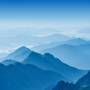 正心飞叶 