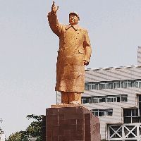 大群游