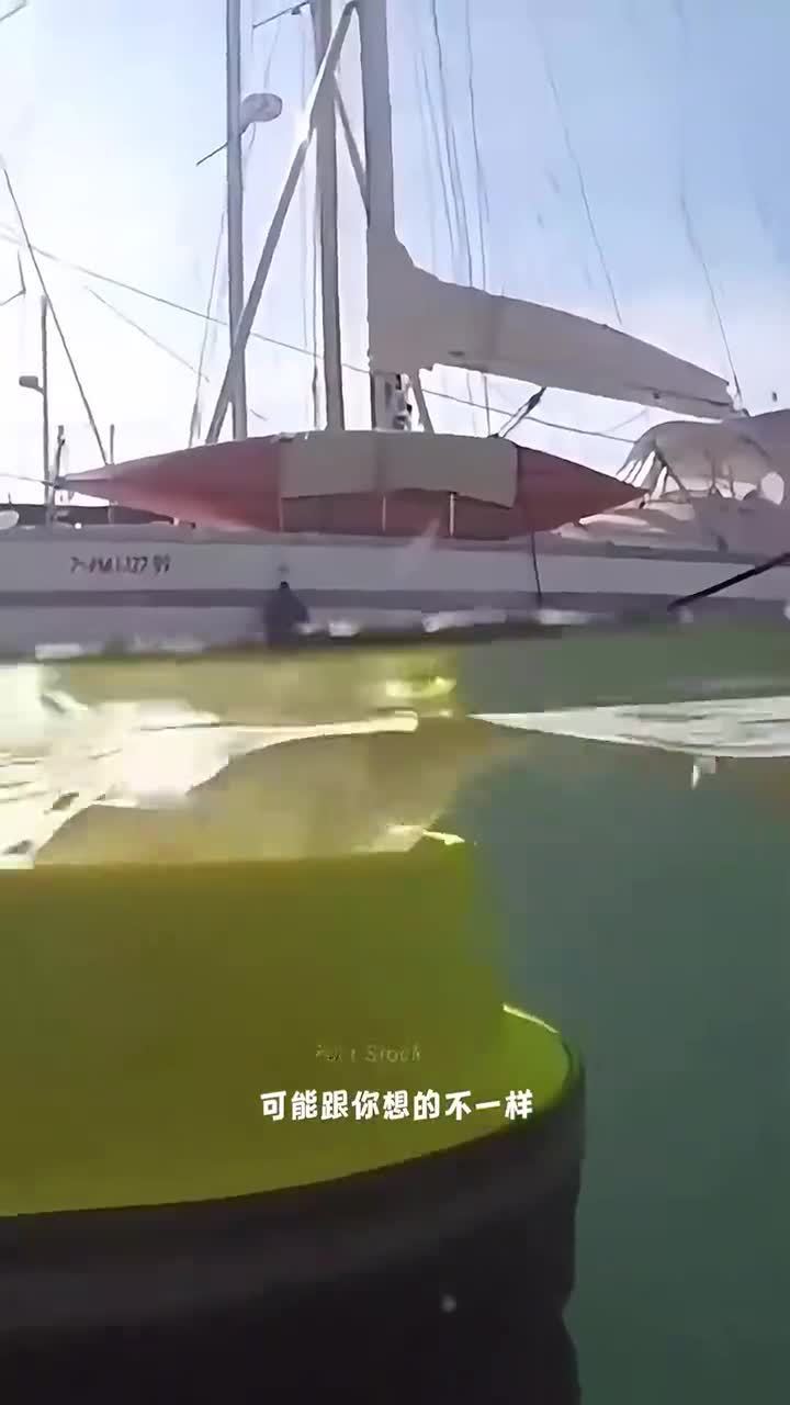 像吸尘器一样的海上垃圾桶? #涨知识