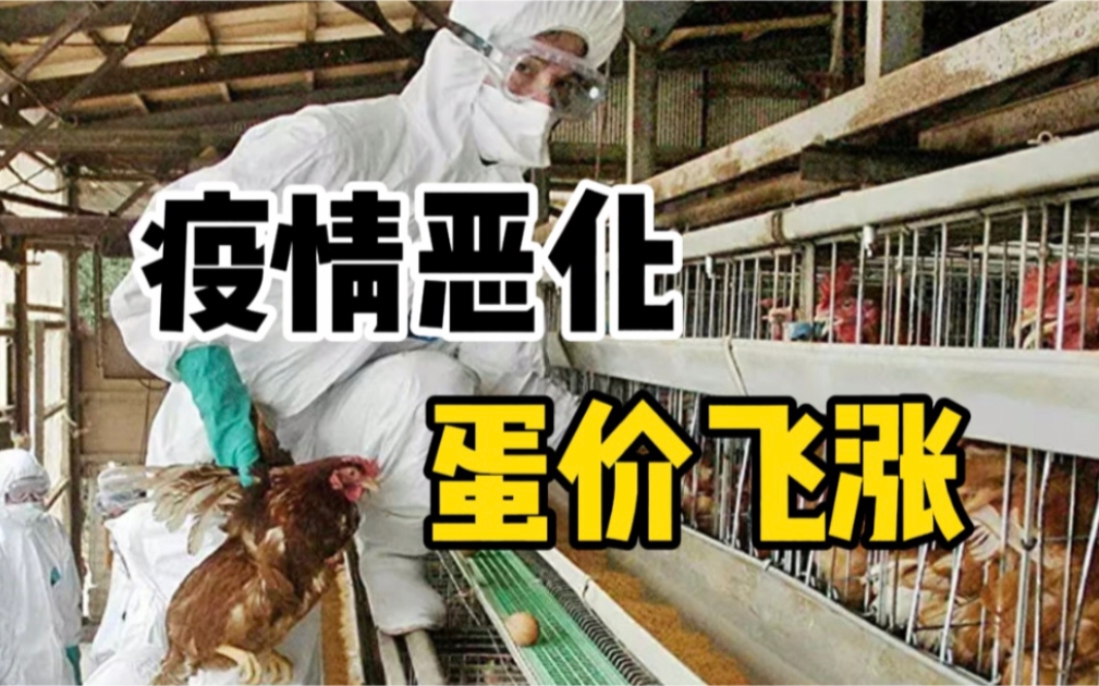 美国禽流感疫情恶化,宰杀2700万只禽鸟,蛋价飞涨