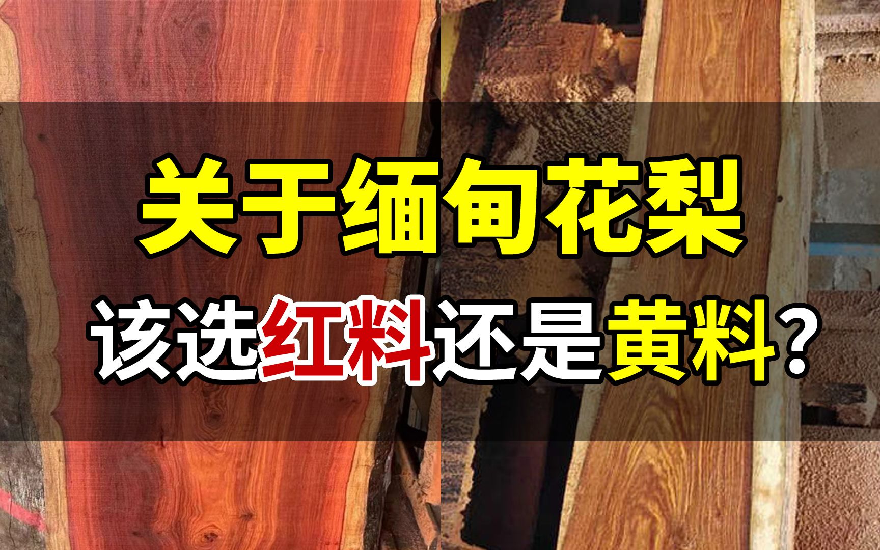 缅甸花梨大果紫檀,该选红料还是黄料?哪种材质更好,讲明白了!