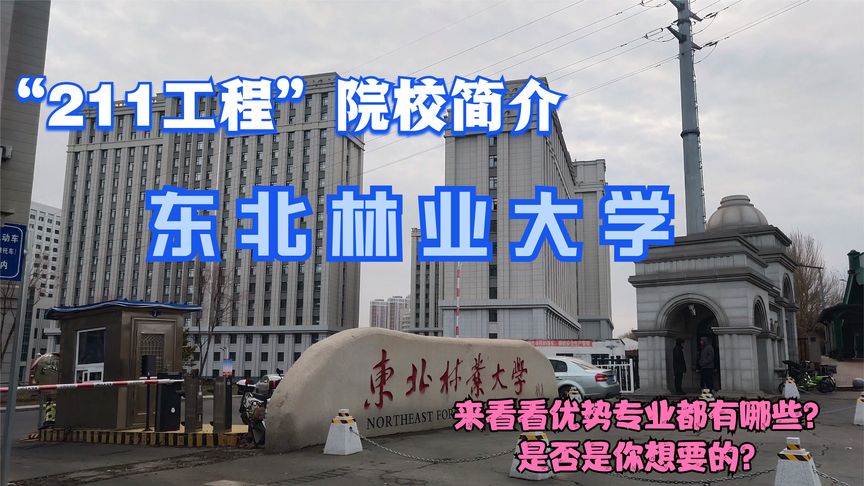 “211工程”院校介绍-东北林业大学,来看看都有哪些优势专业