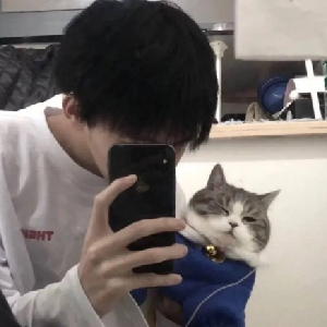 弗弗西斯的球 