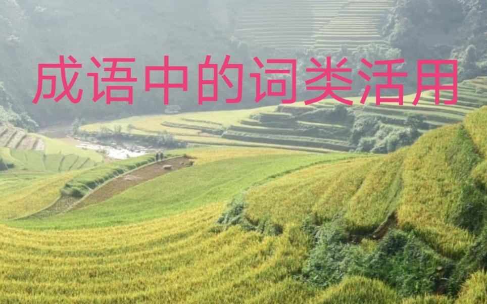 成语中的词类活用(一)