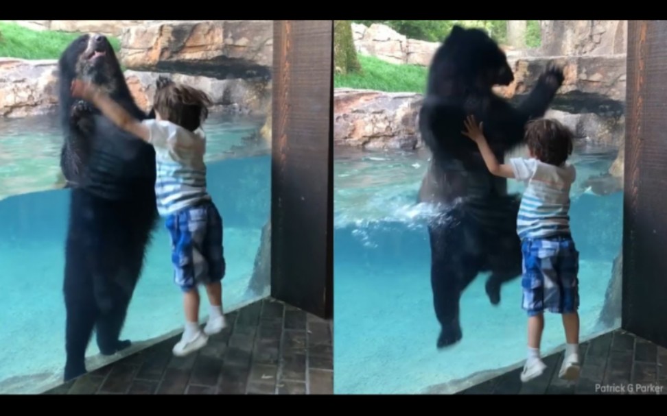 模仿游戏!眼镜熊模仿5岁男孩跳跃