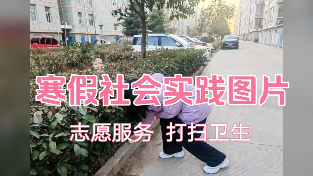 大学生三下乡返家乡社会实践志愿服务照片