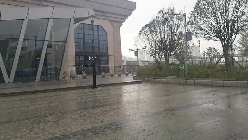 黔西县今天下雨!禾苗生长了!#我的城市下雨了