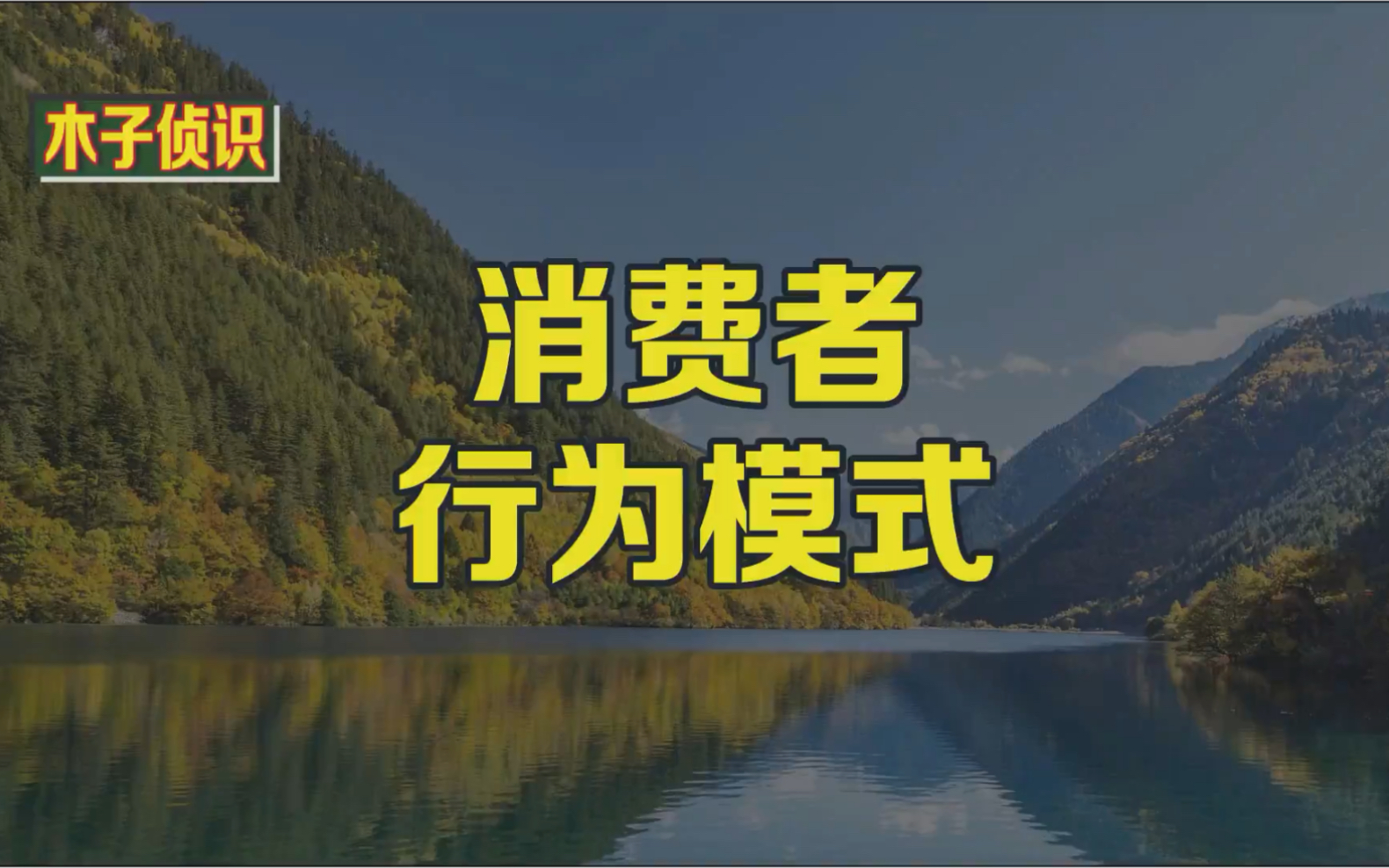 消费者行为模式
