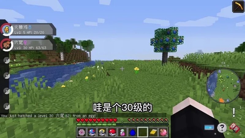 MC宝可梦生存 我来到了充满精灵的大陆!
