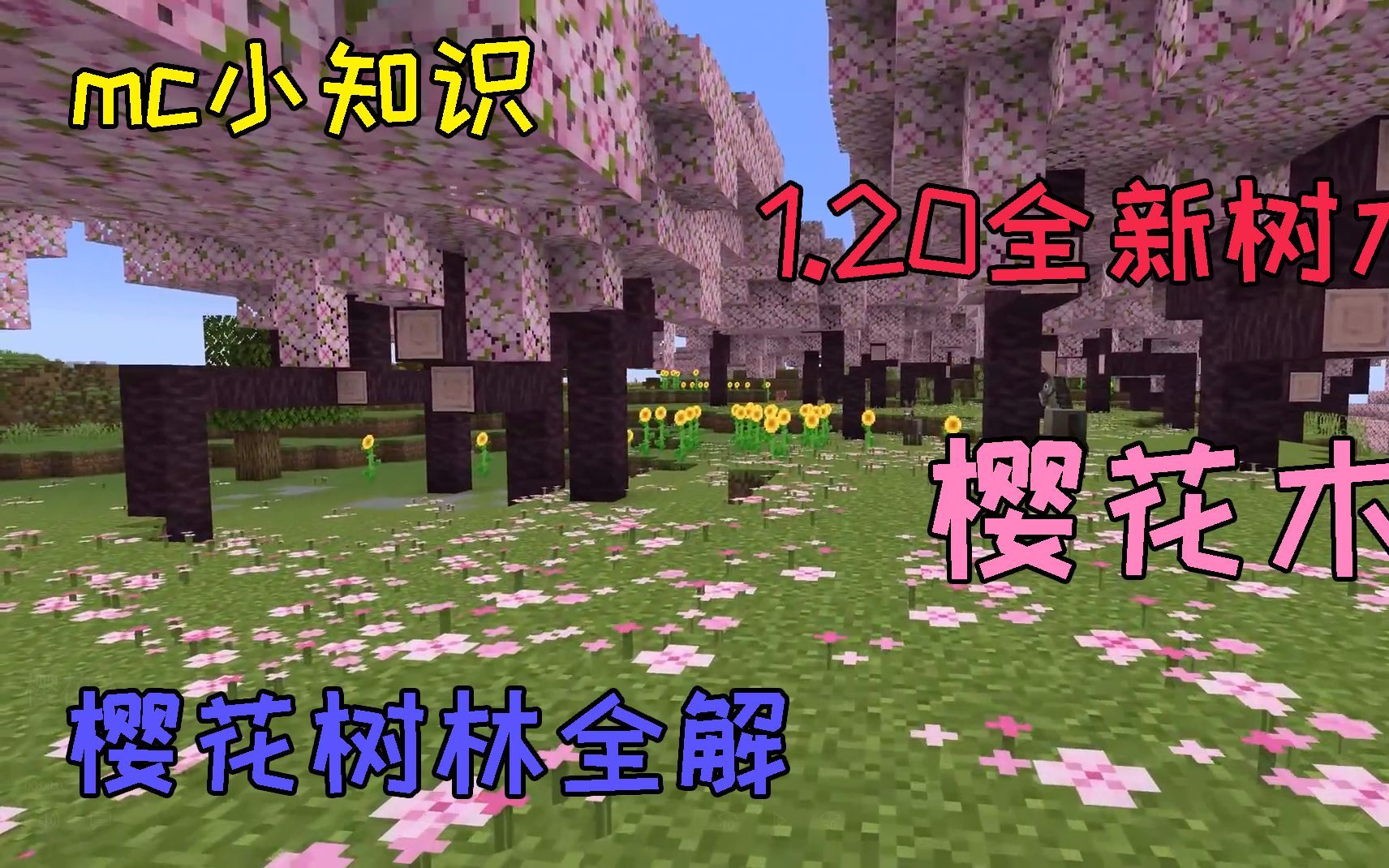 mc小知识:1.20中樱花树林全攻略_哔哩哔哩bilibili_我的世界_攻略