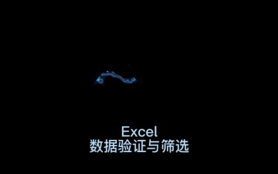 Excel数据验证与筛选