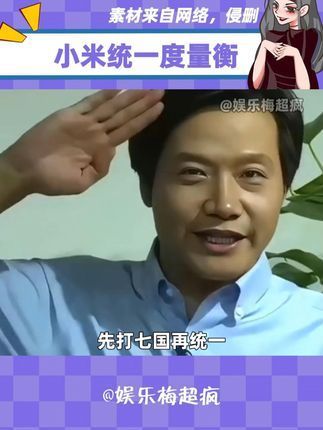 ...都不好好干,那就都别干了 #小米 #雷军 #内容启发搜索 #统一度量衡