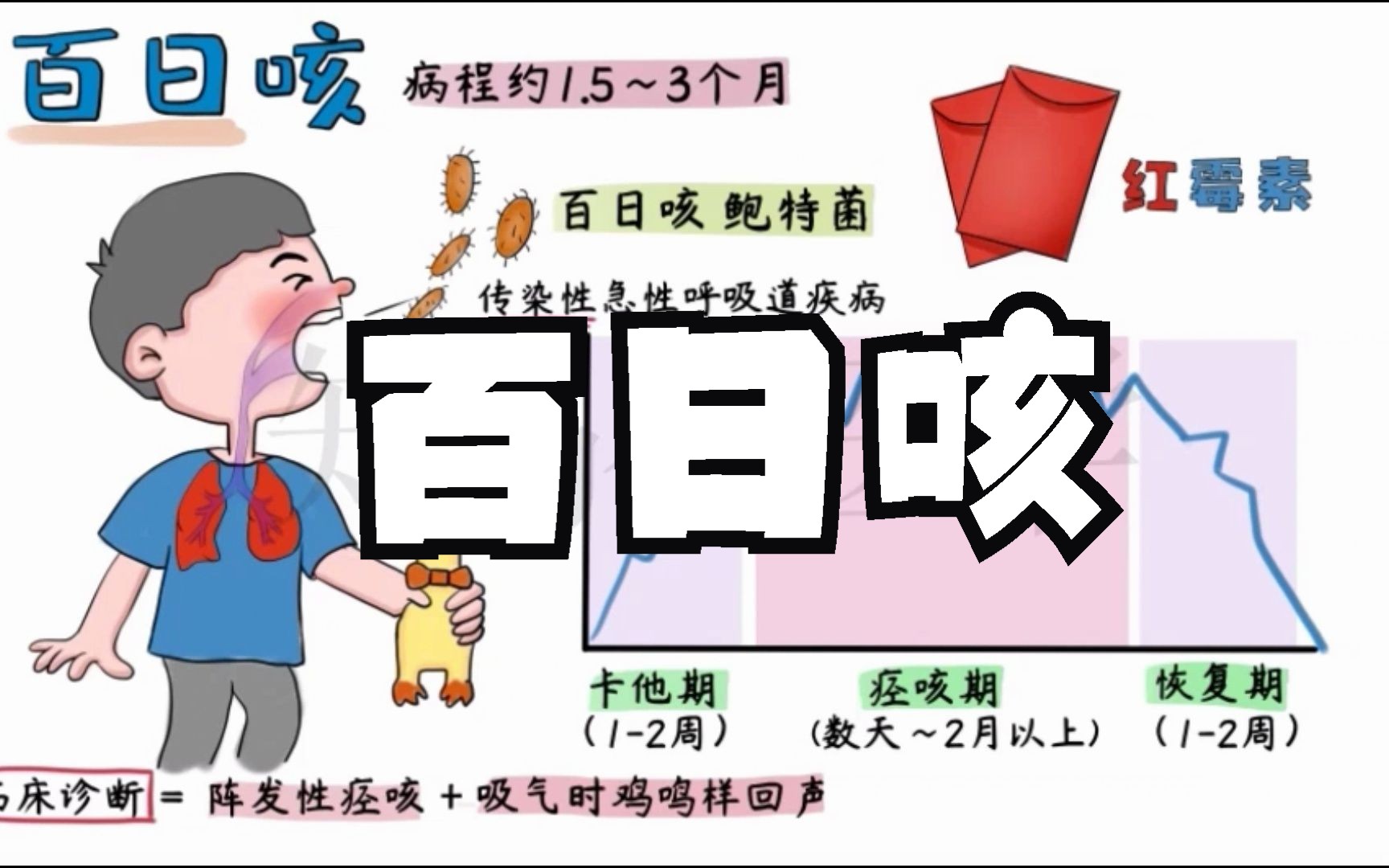 医学动画演绎 百日咳