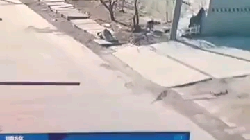 狗群咬死个体,农村狗群如狼群,真吓人!