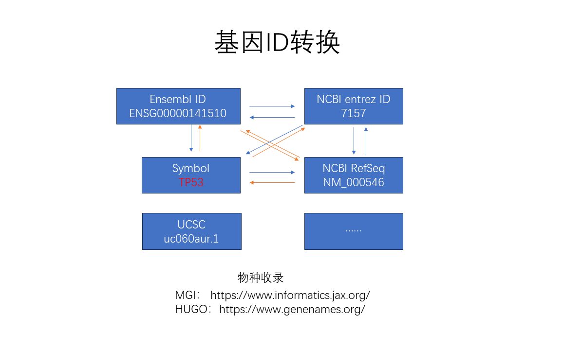 在线批量快速Ensembl基因id转symbol,NCBI entrez geneid转symbol