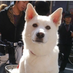 专业卫生纸打孔 