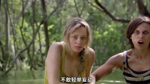 电影:一定要看到最后,真实事件改编,食人鳄的死亡翻滚太可怕了