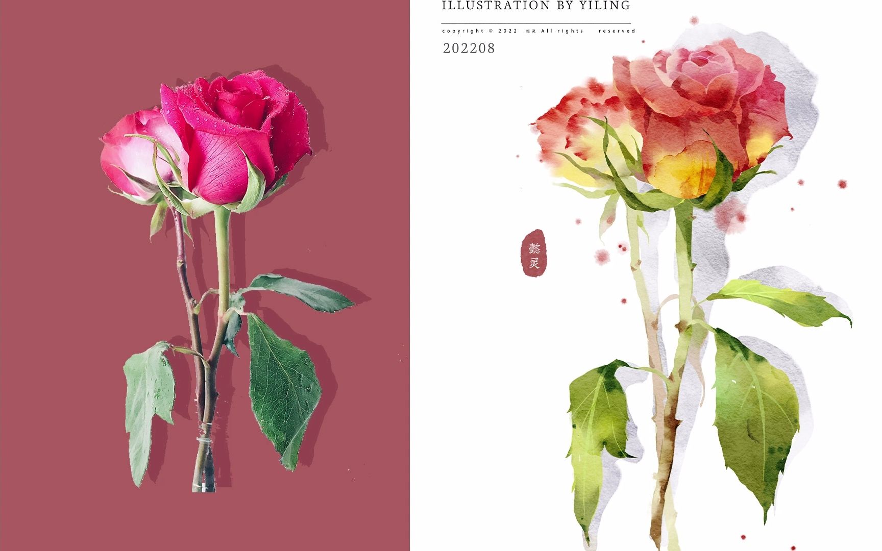 【壹零插画】ps水彩插画,一朵水彩玫瑰花的绘制过程(含解说)