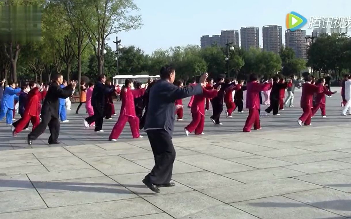 赵幼斌老师领练传统杨氏85式太极拳