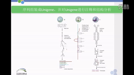 百迈客云平台无参考转录组集成工具使用原理