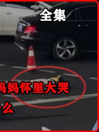 妈宝男超速撞飞外卖小哥,在妈妈怀里大哭 全集