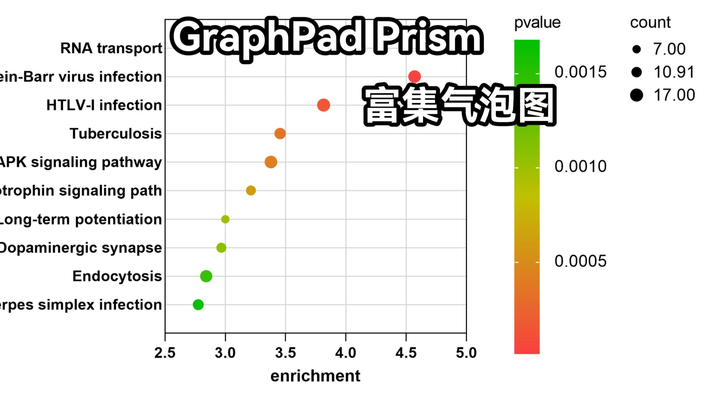 【Graphpad Prism】画富集气泡图