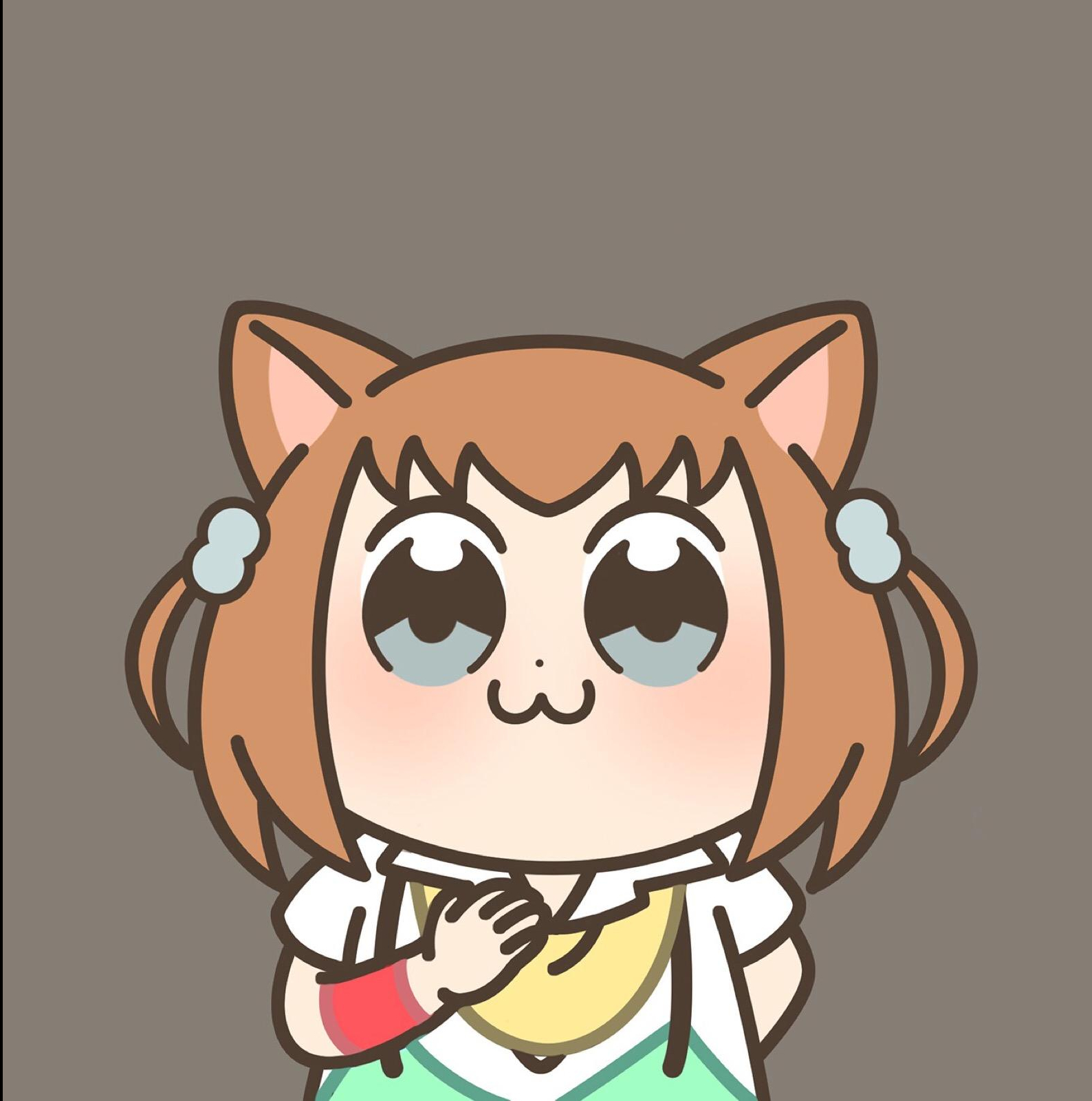 pwddark 