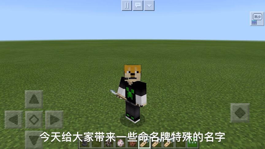 我的世界命名牌特殊的名字
