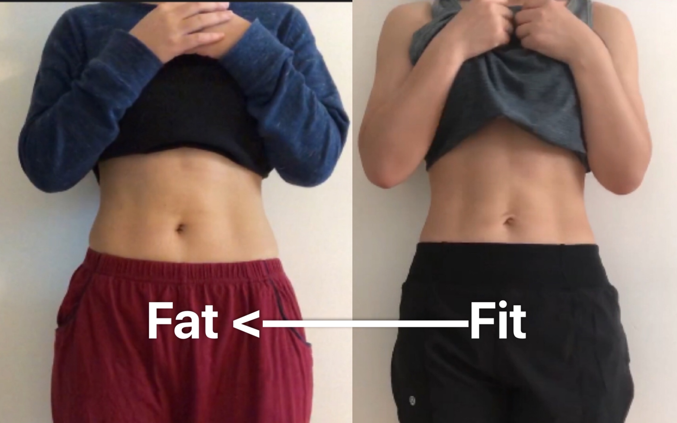 Fit to Fat 回到Fit,我会用多久?