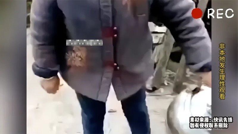 老人用开水烫狗 狗一直在惨叫