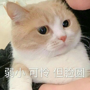 新酱的巧克力小饼干 
