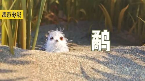 萌化了!奥斯卡最佳动画短片,差点看不出是动画
