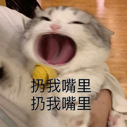 fzy不是范仲淹 