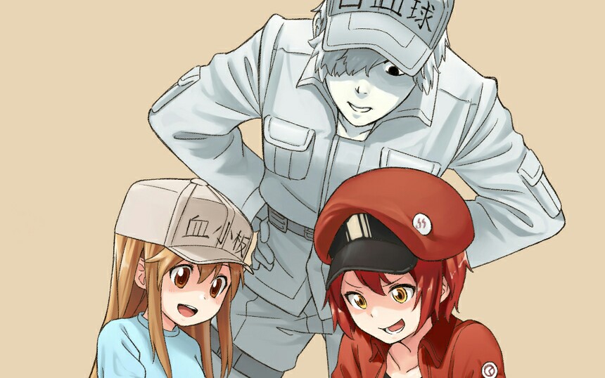 【显微镜】在显微镜下观察血细胞 红细胞 白细胞 血小板