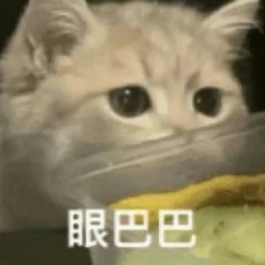 想吃煲仔饭的憨憨 